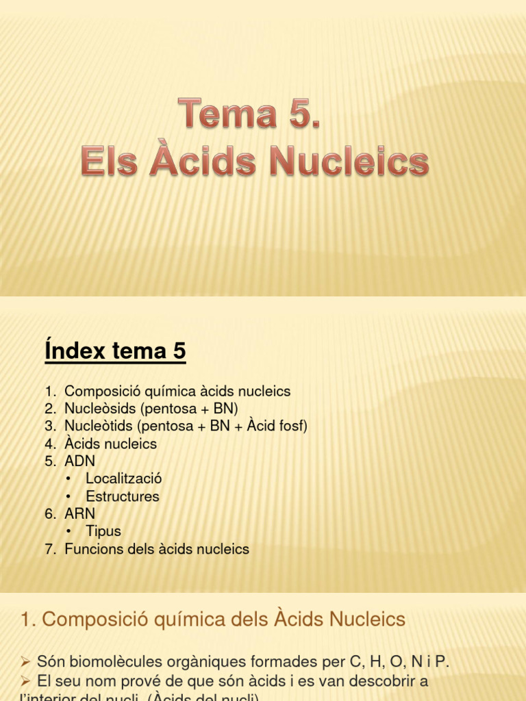 Tema 5. Àcids Nucleics | PDF