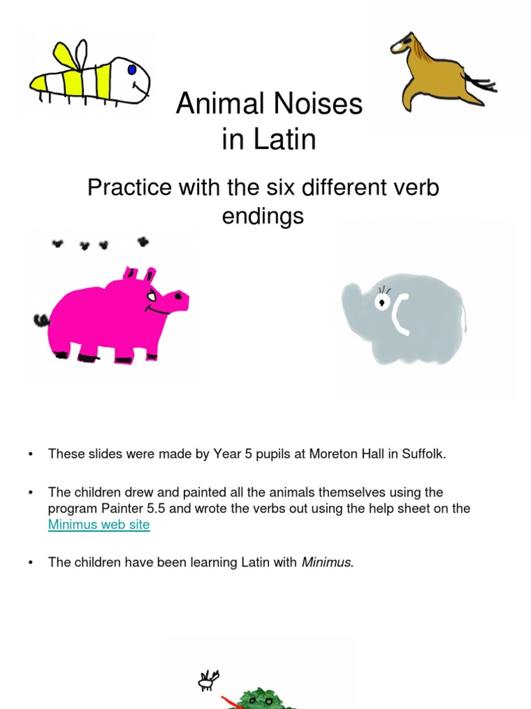 Latin Animal Noises and Verbs Guide | PDF