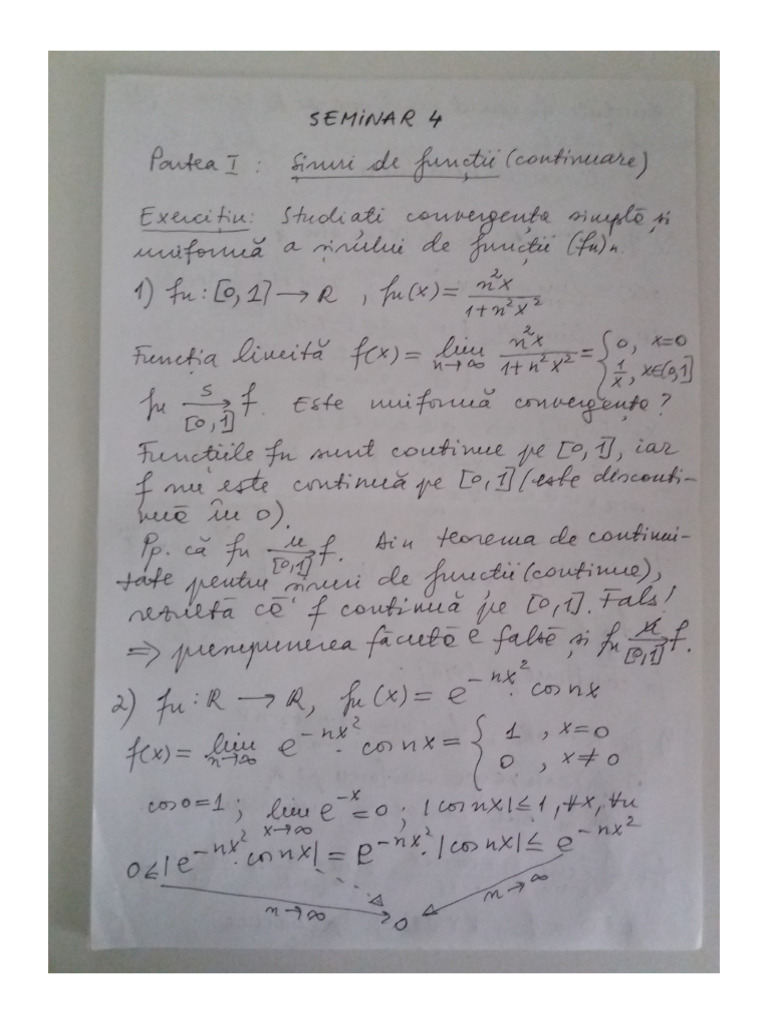 Seminar Cu Rezolvari | PDF