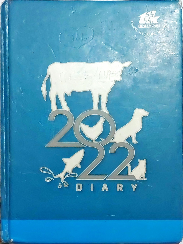 2022 | PDF