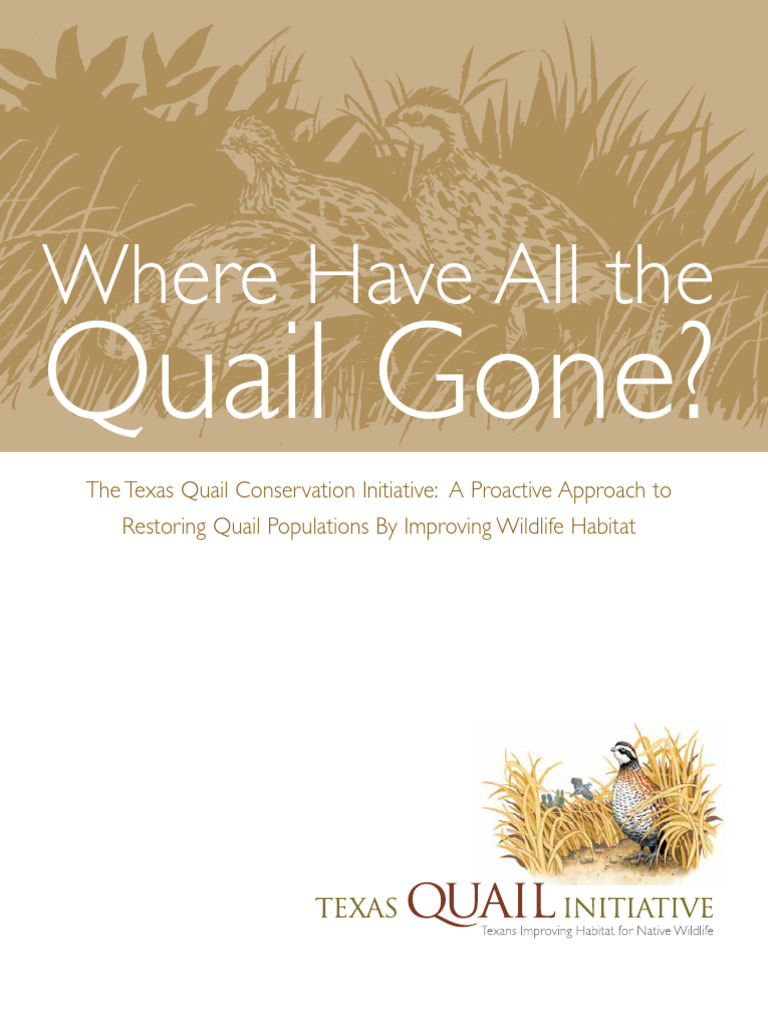 Texas Quail Habitat Restoration | PDF | Grazing | Habitat