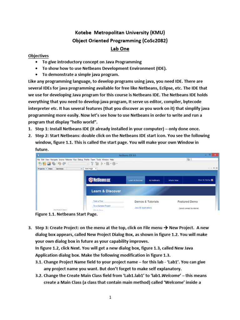 Lab 1 | PDF | Integrated Development Environment | Applications & Software