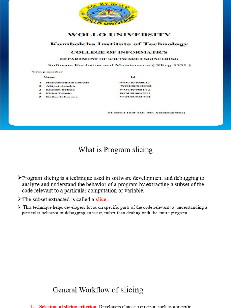 Program Slicing | PDF | Computer Program | Programming