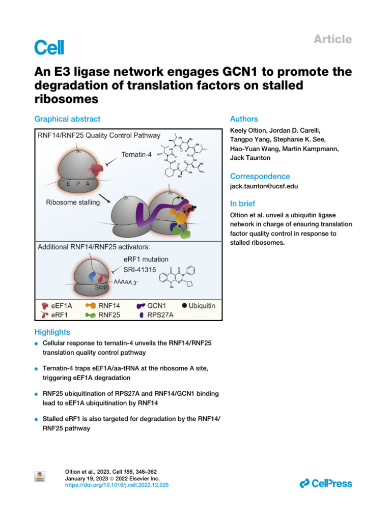 An E3 Ligase Network Engages GCN1 To Promote The D | PDF | Ubiquitin ...