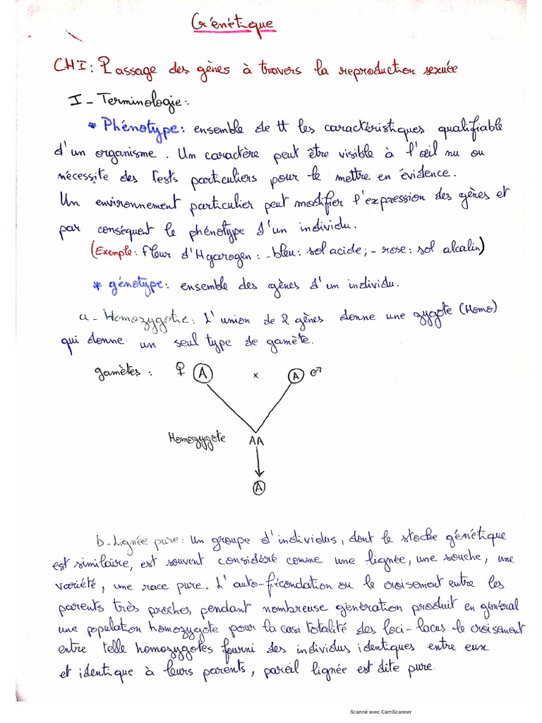 Cours1 gÃ©nÃ©tique | PDF