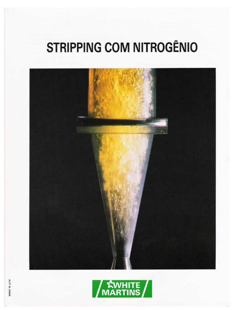 Folder - in Line N2 Stripping | PDF