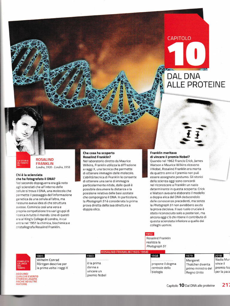 Cap 10 Dna Proteine | PDF