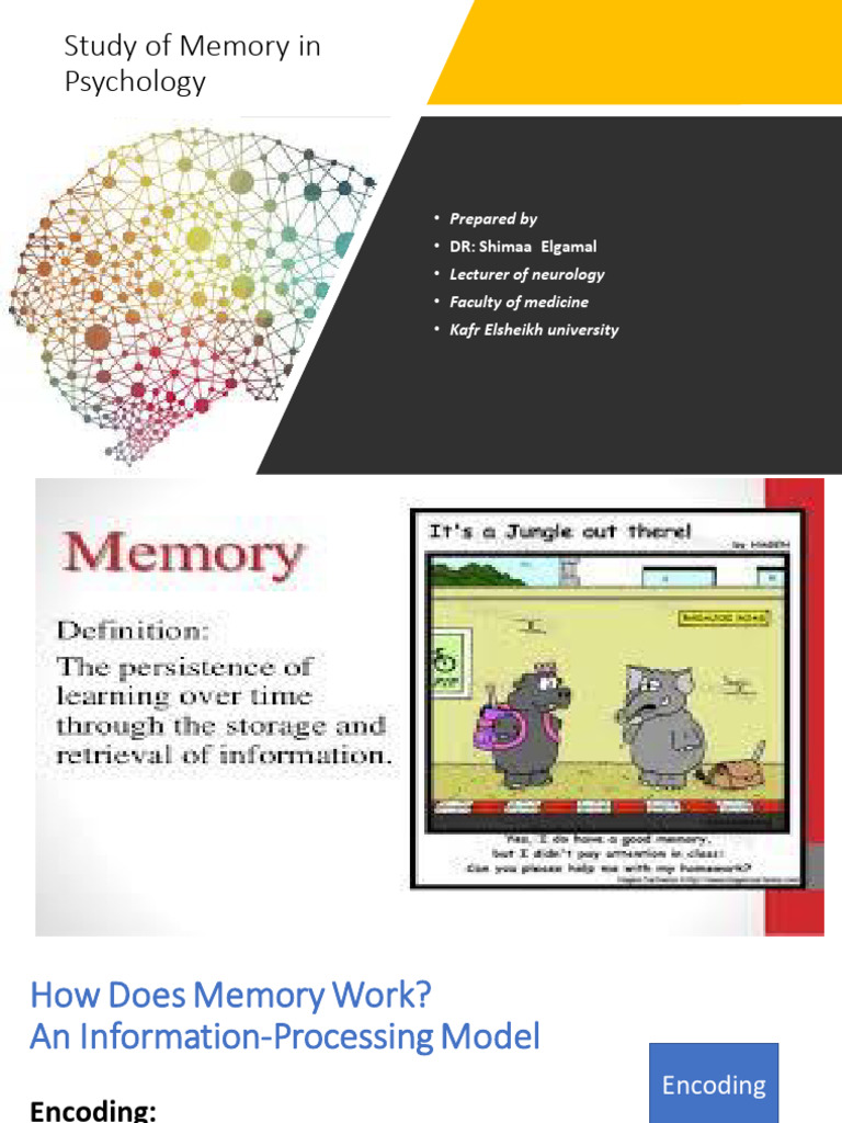 Memory, PDF | PDF | Memory | Long Term Memory