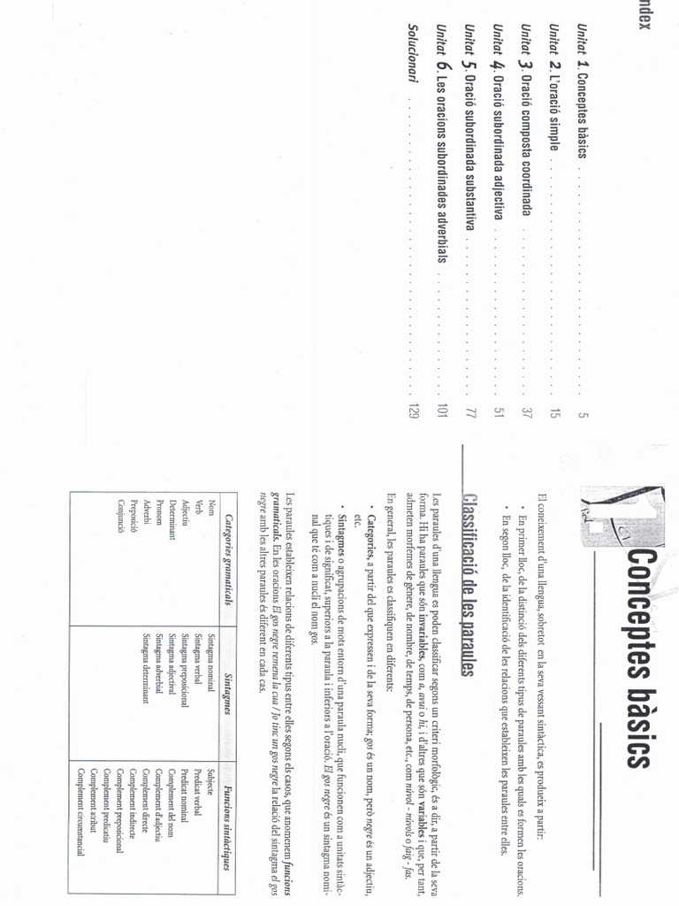 00 Sintaxi-Teoria Completa | PDF