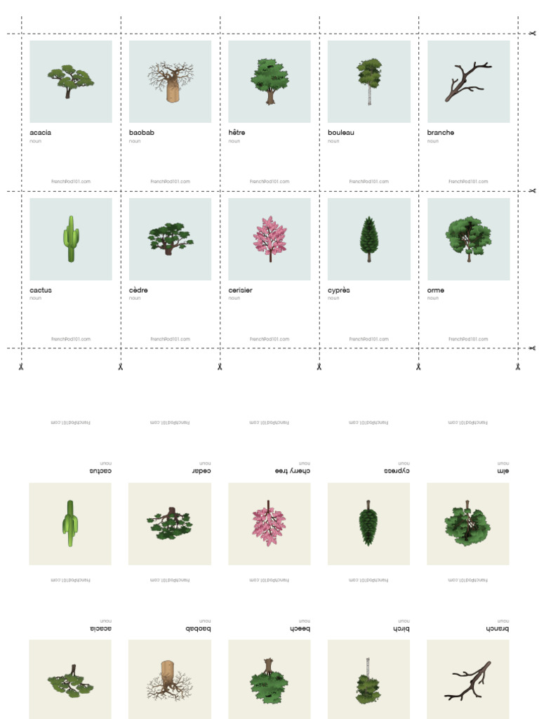 French Tree | PDF | Trees | Botany