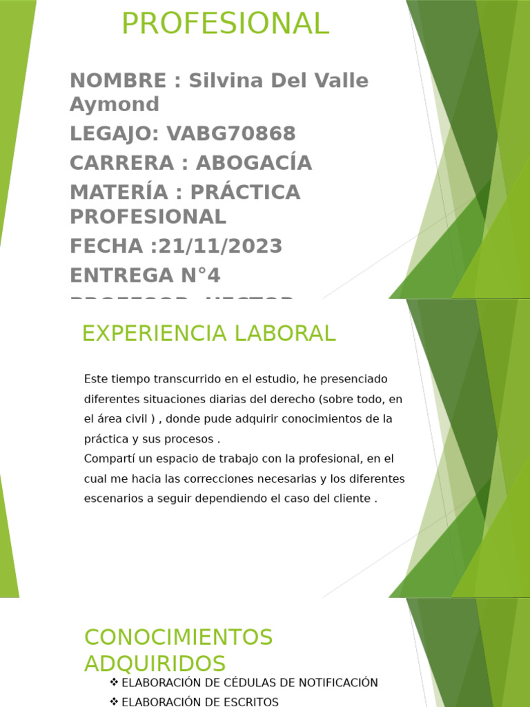 TP4 - PPT - Práctica Profesional PDF | PDF