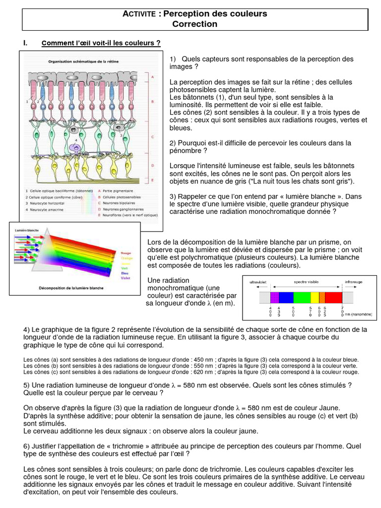 Perception des couleurs et synthèse lumineuse | PDF | Couleur | Jaune