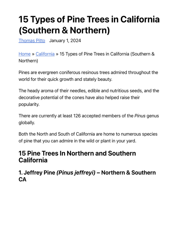 Pine Tree Species in California | PDF | Pine | Trees