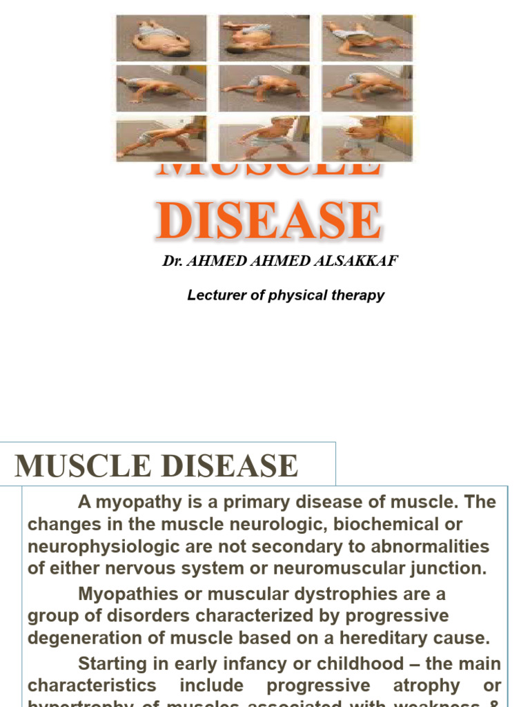 Understanding Muscle Diseases and Dystrophies | PDF | Muscular ...
