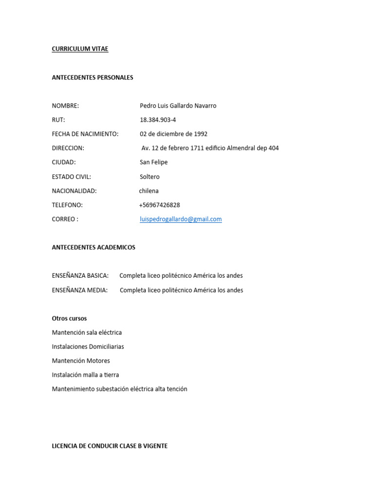 Curriculum Vitae Pedro 3 | PDF