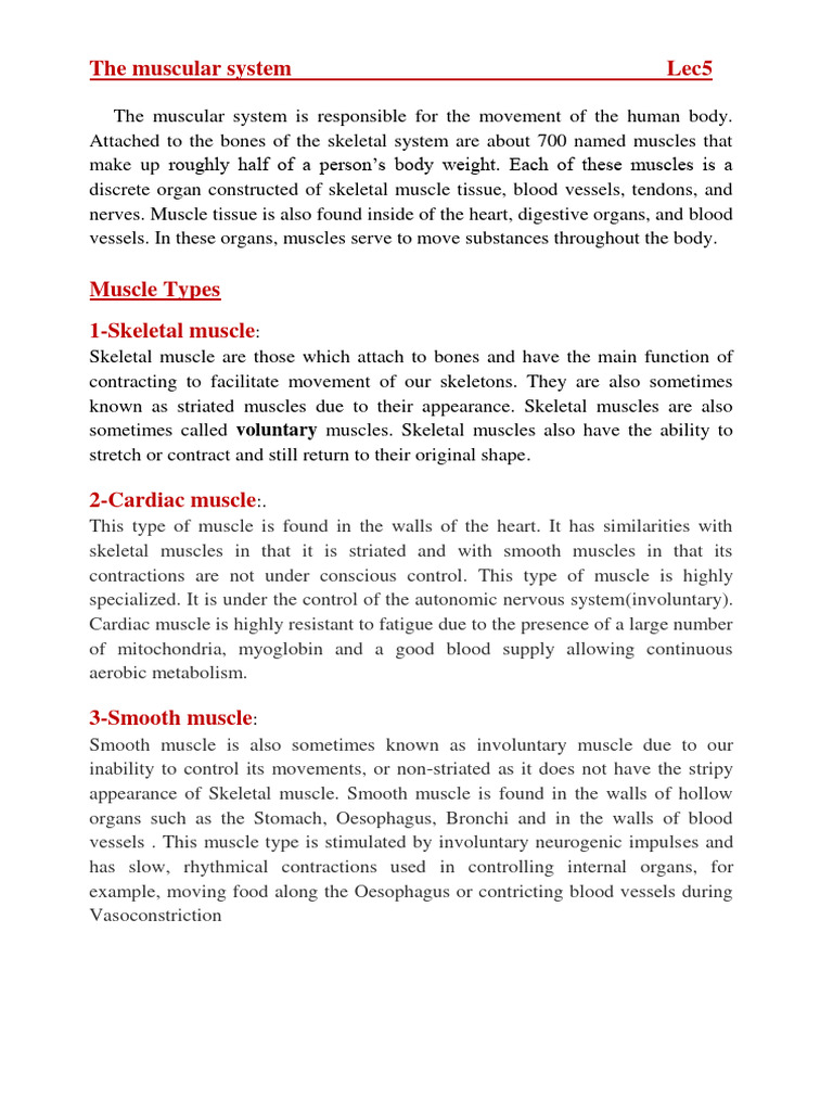 5 - Muscular System | PDF | Muscle | Morphology (Biology)