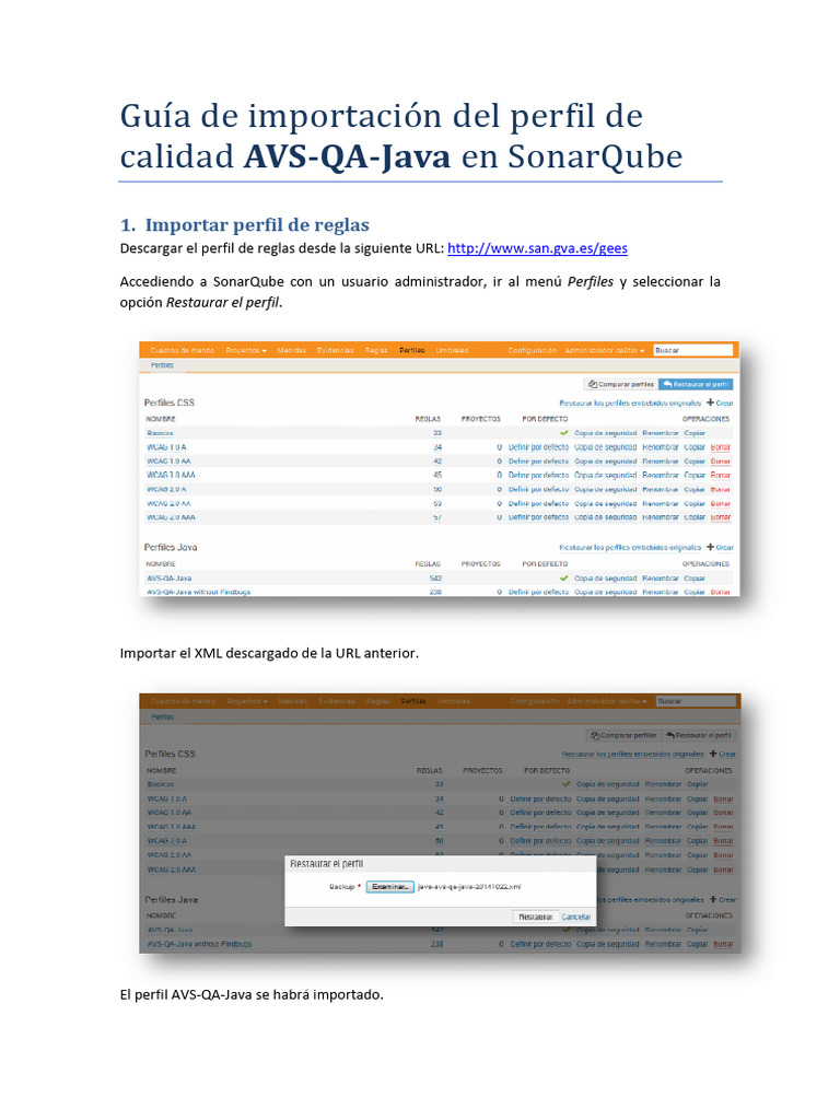 Guia de Importacion Del Perfil de Calidad AVS-QA-Java en SonarQube | PDF | Informática