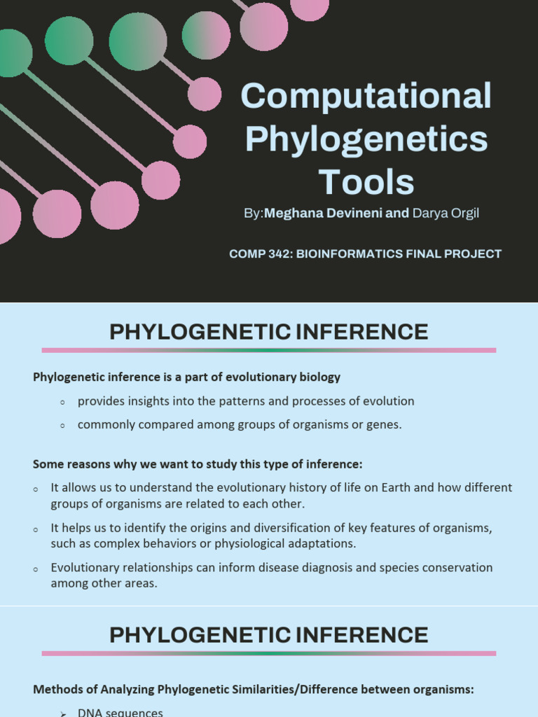 Computational Phylogenetics Tools | PDF | Phylogenetics | Phylogenetic Tree