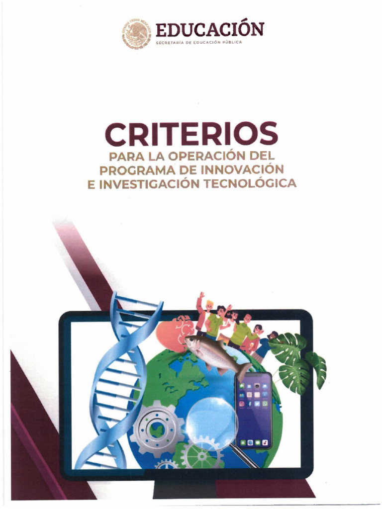 Lineamientos Programa de Innovacon Tecnologica | PDF