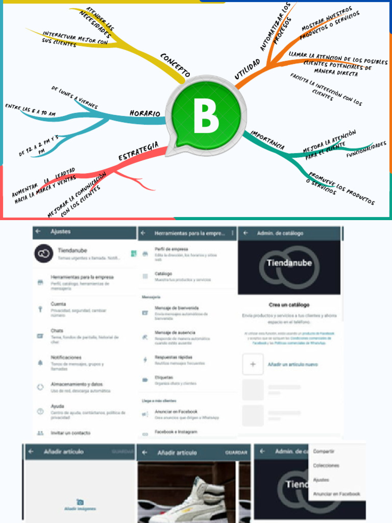 Mapa Mental Whatsapp Business Pdf