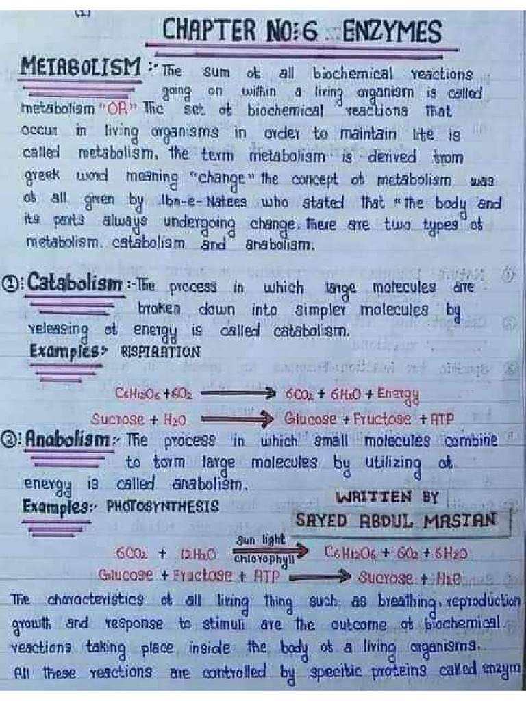 Enzyme Class 11 | PDF
