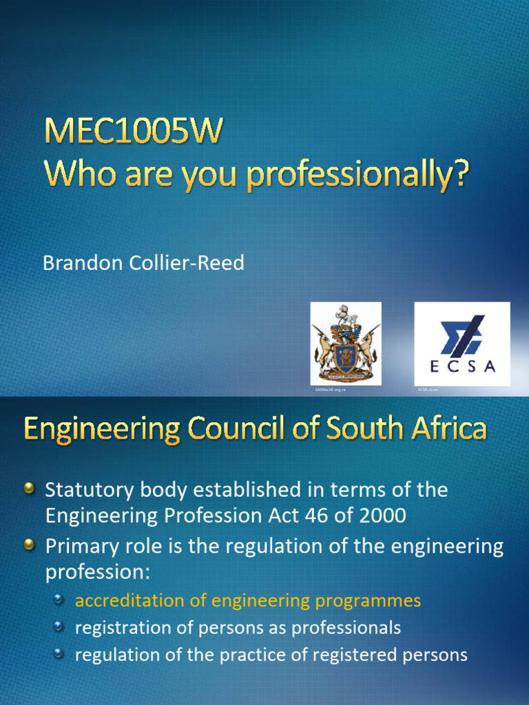 Professional Engineering Identity | PDF | Engineering | Engineer