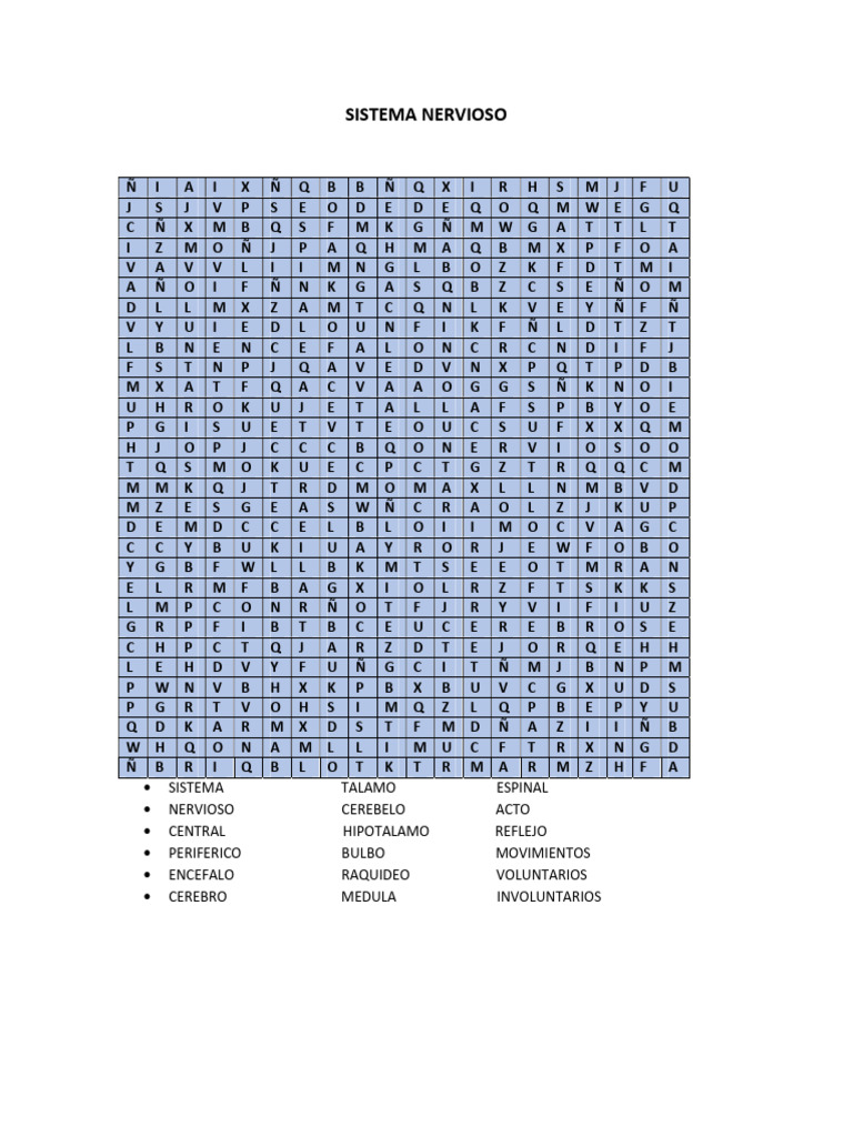 Sopa de Letras | PDF | Cérebro | Anatomia