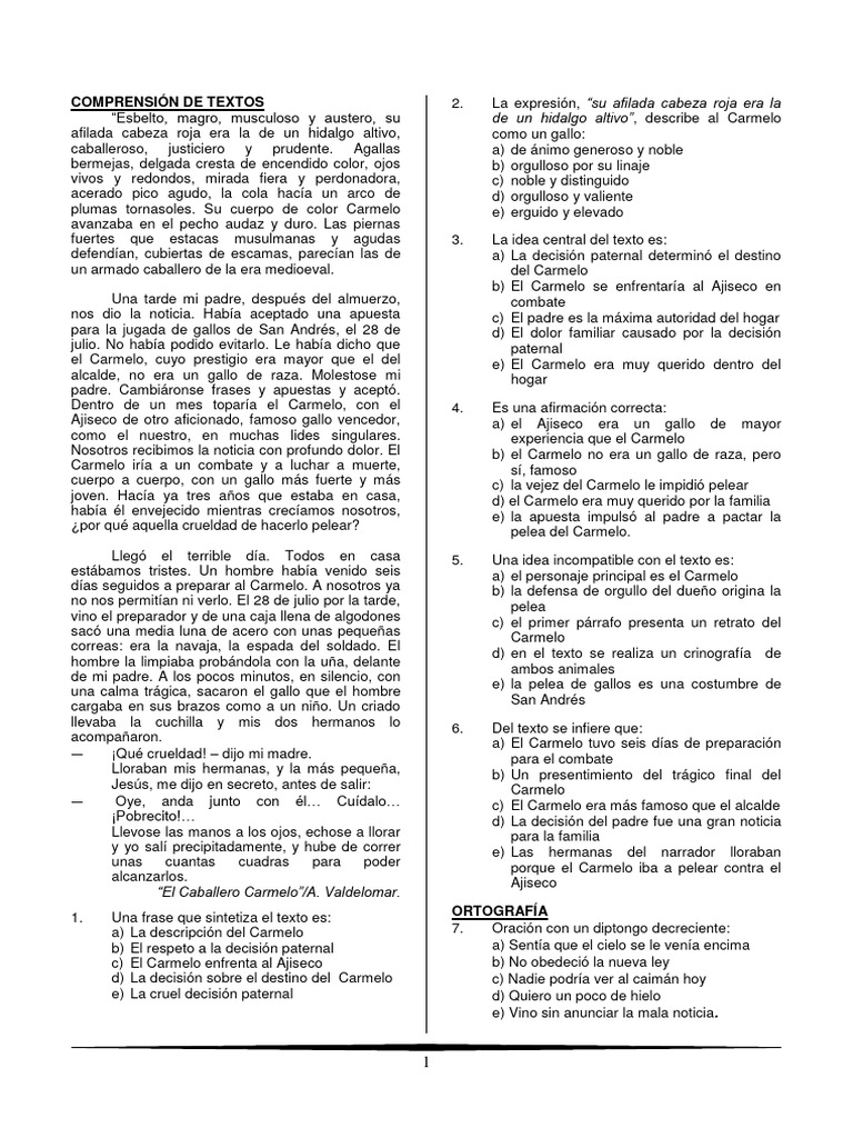 Raz - Verbal 5to Sec | PDF