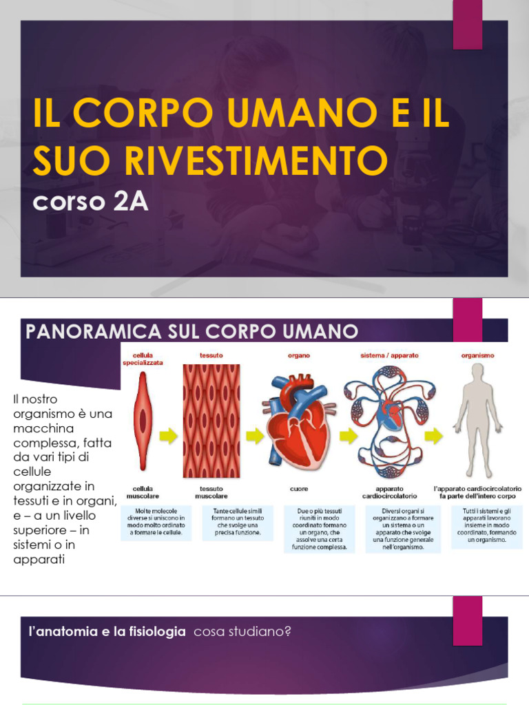 Il Corpo Umano e Il Suo Rivestimento | PDF