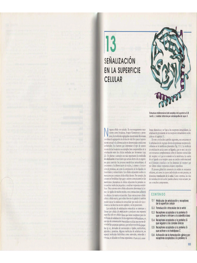 Capitulo 13 - Biologia Celular y Molecular Lodish | PDF