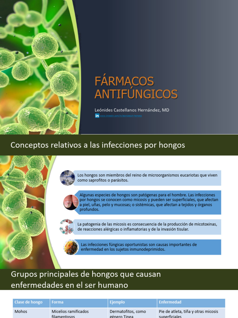 Anti FUNG 2024 | PDF | Candidiasis | Inhibidor de la enzima