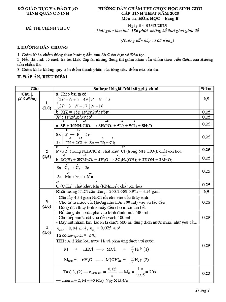 HDC chính thức bảng B - 2023 | PDF