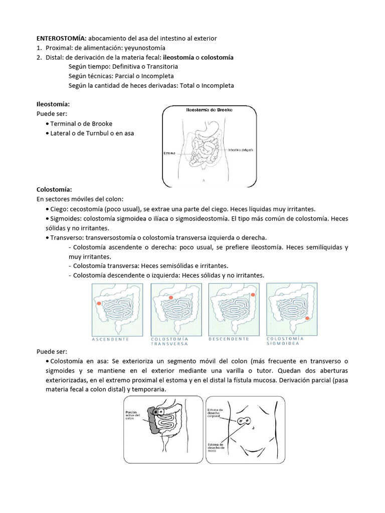 Cirugia Intestinal | Descargar gratis PDF | Intestino grueso | Tracto ...