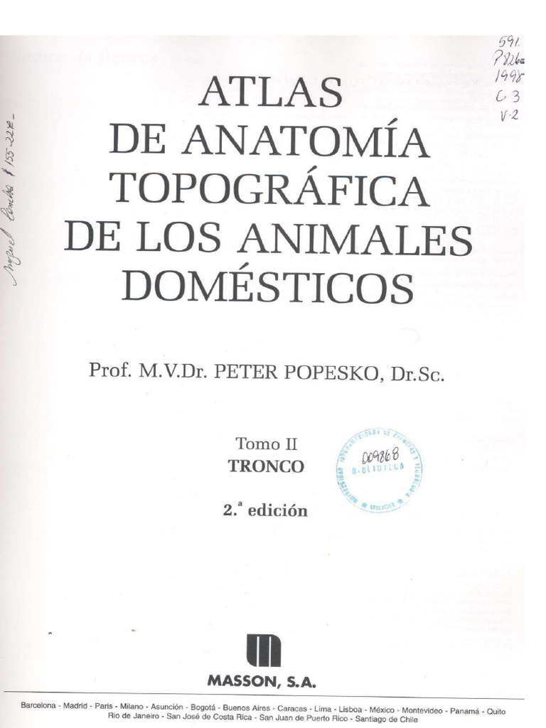 Popesko Tomo 2 | PDF
