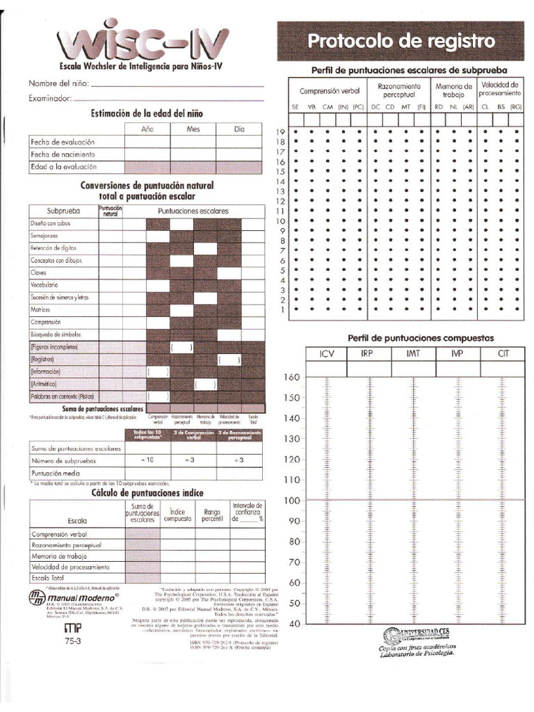 Protocolo de Registro WISC-IV | PDF