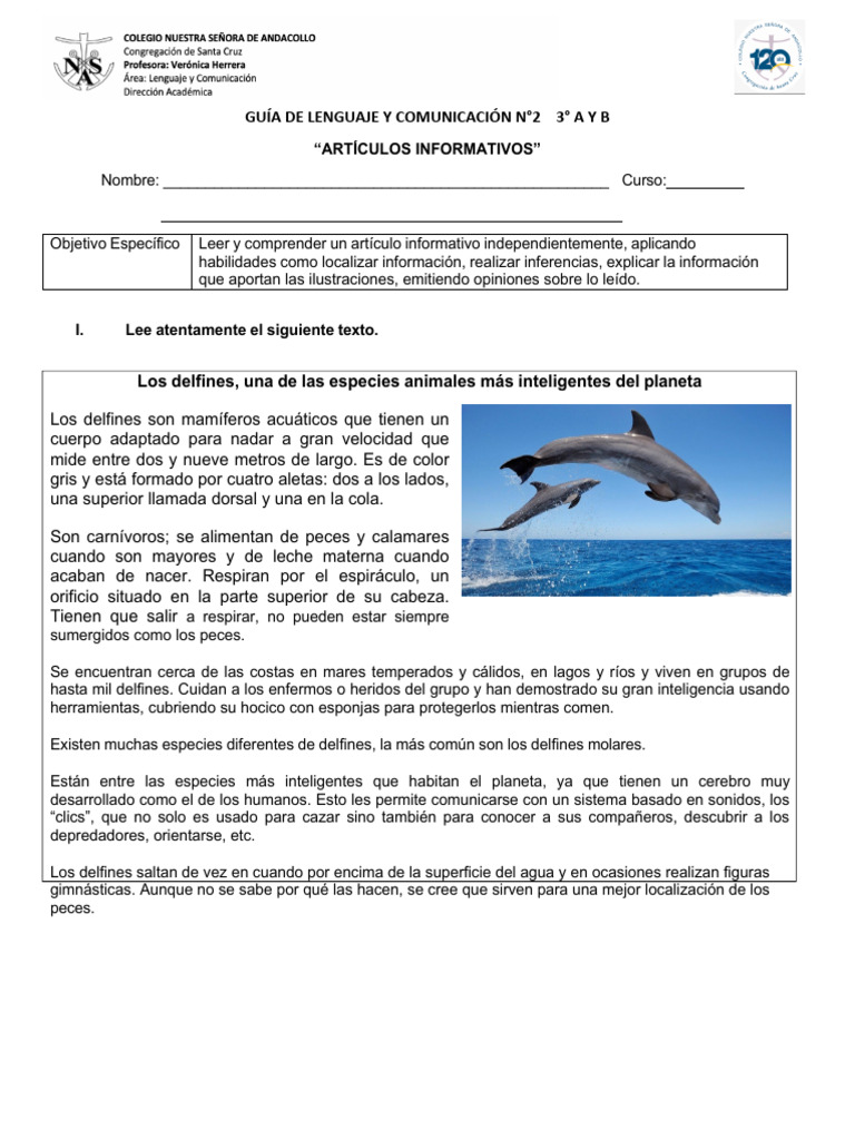 Artículo Informativo: Los Delfines | PDF | Zoología