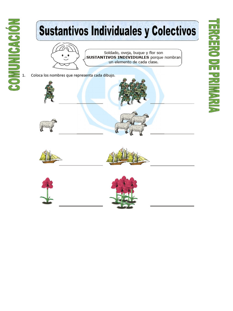 Sustantivos individuales y colectivos | PDF