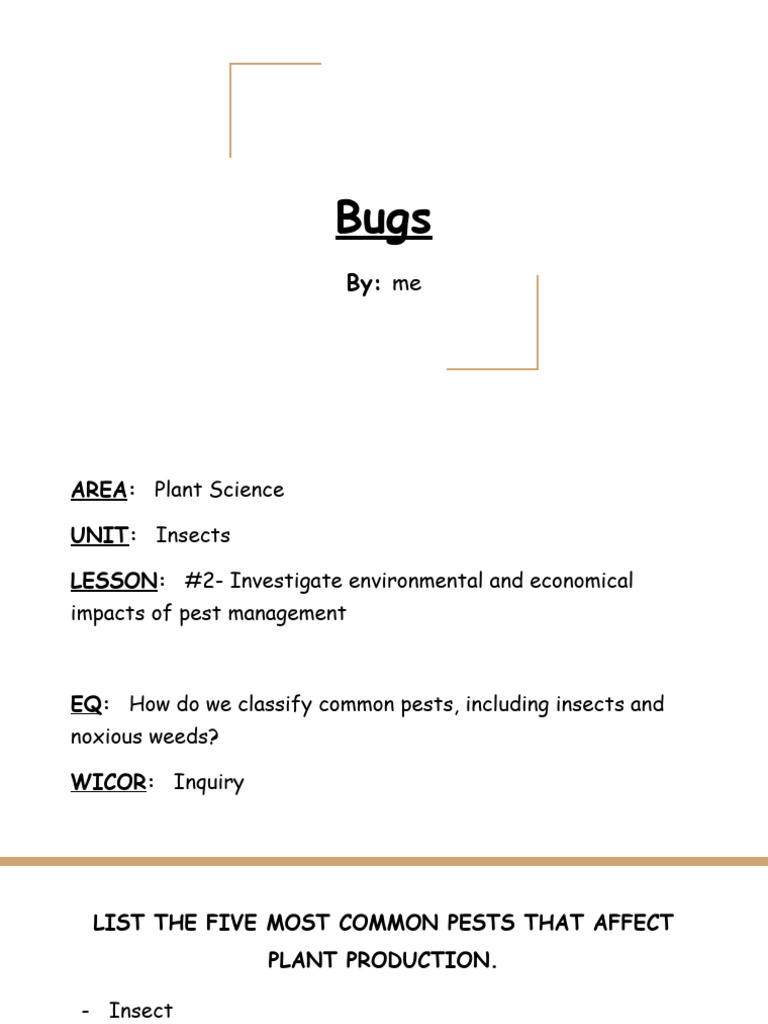 Bugs | PDF | Insects | Fly