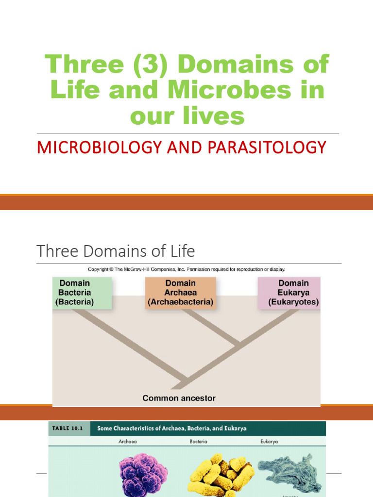 Three Domain of Life | PDF | Microorganism | Eukaryotes