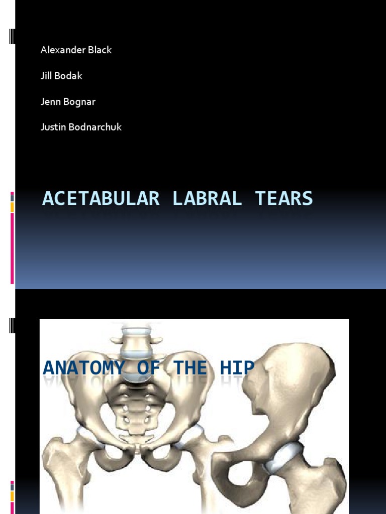 Test Assess Hip Labral ODLICNO | PDF | Hip | Anatomical Terms Of Motion