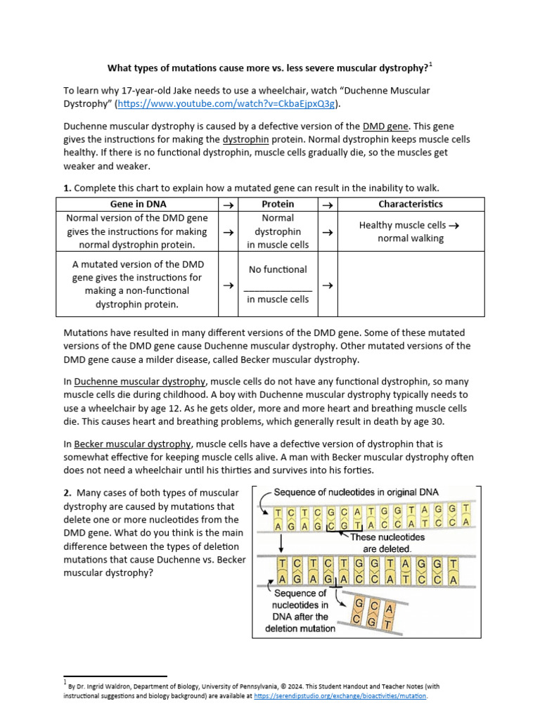Mutation SHO | PDF | Genetic Code | Translation (Biology)