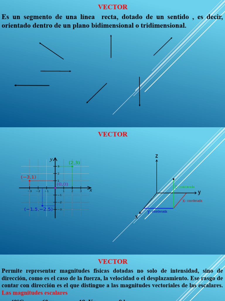 Conceptos y Tipos de Vectores en Física | PDF | Vector Euclidiano ...