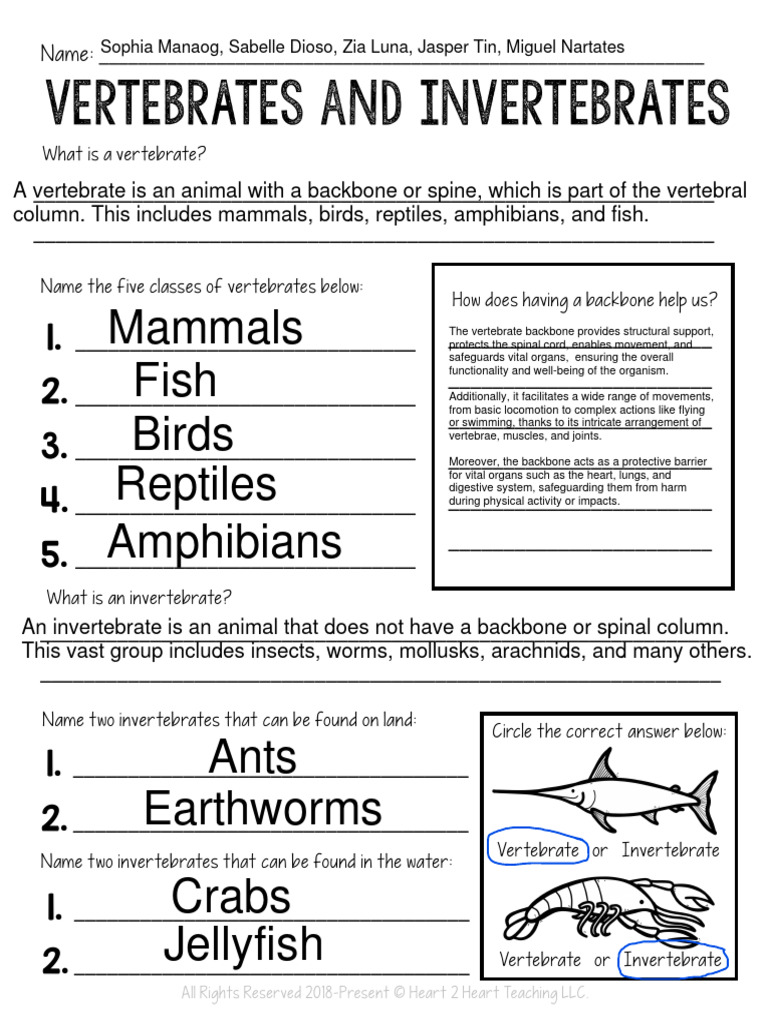 First Part | PDF | Vertebral Column | Invertebrate