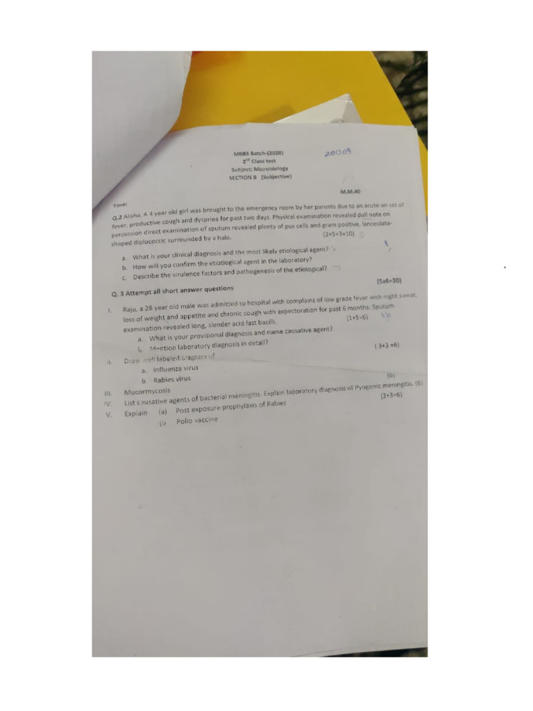 Micro Paper Bs 5 | PDF