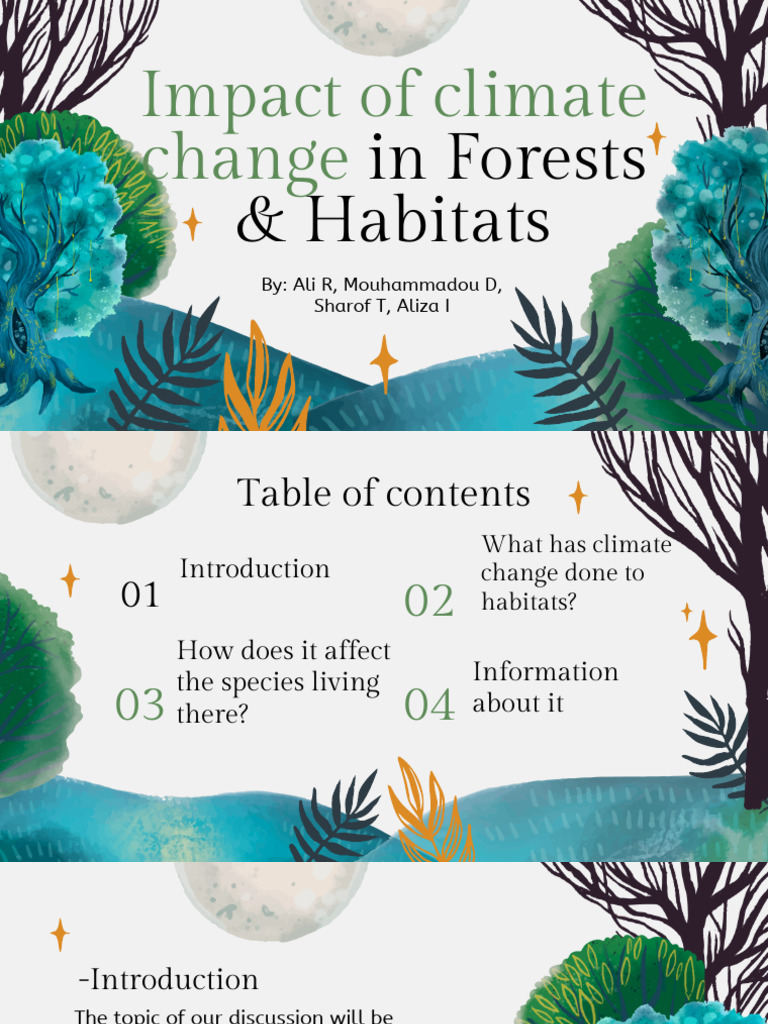 Forest | PDF