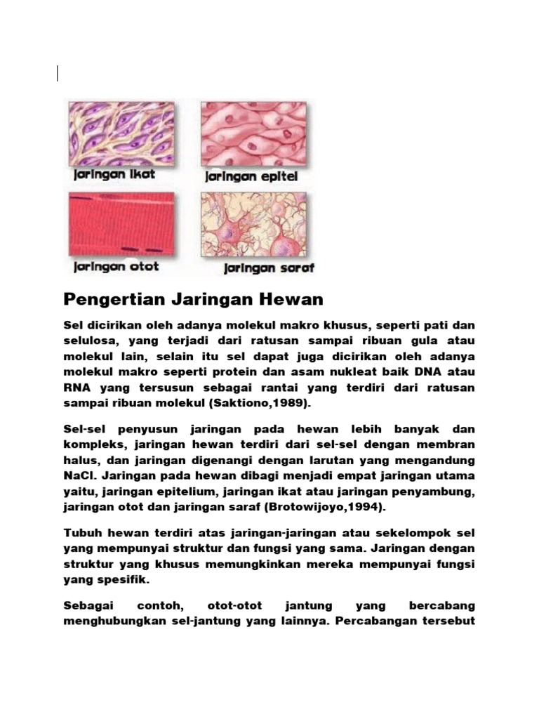Jaringan Hewan: Struktur dan Fungsi | PDF | Sains & Matematika
