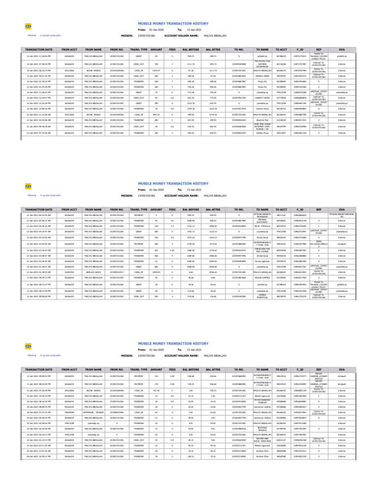 Momo Statement Report | PDF | Debit Card | Money