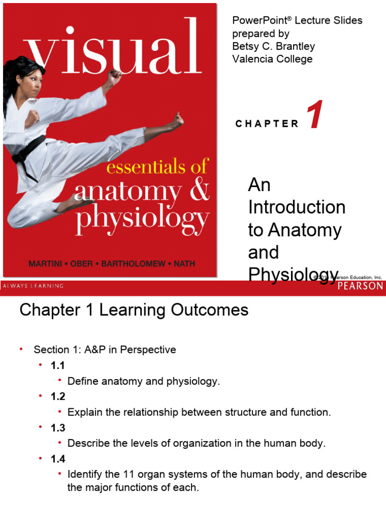 Chapter 1 - Intro To Anatomy and Physiology - Slides | PDF | Anatomical ...