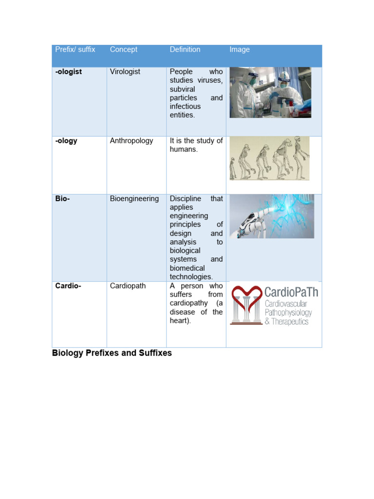 Prefix and Suffix | PDF | Self-Improvement | Wellness