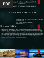 Template of Marine Incident Report | PDF | Ships | Boats